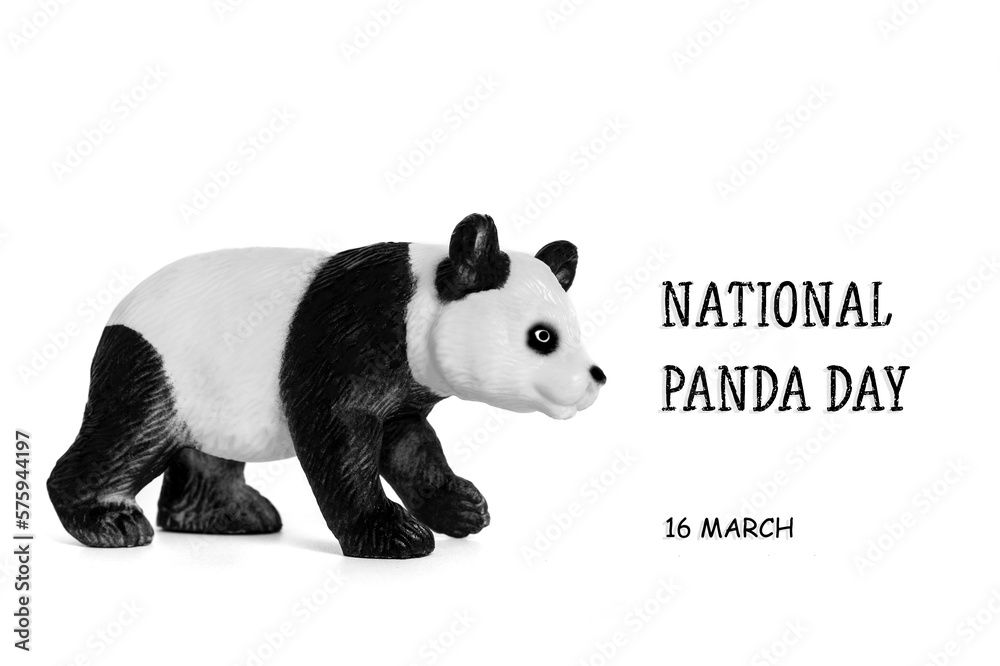 Foto de National Panda Day 16 March celebrate fluffiest, bamboo ...