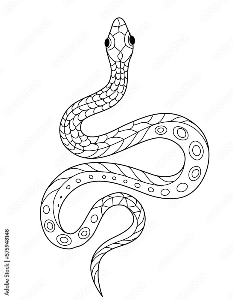 Hand drawn monochrome Snake. Coloring page for kids and adults. Ancient ...