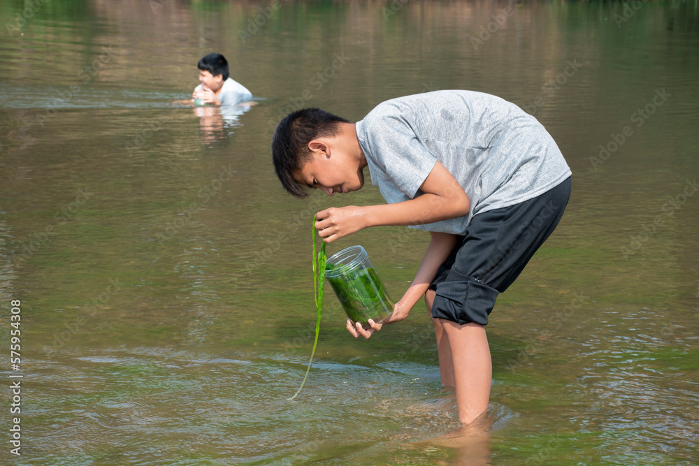 Asian boy holds transparent plastic tube to keep freshwater algae which ...