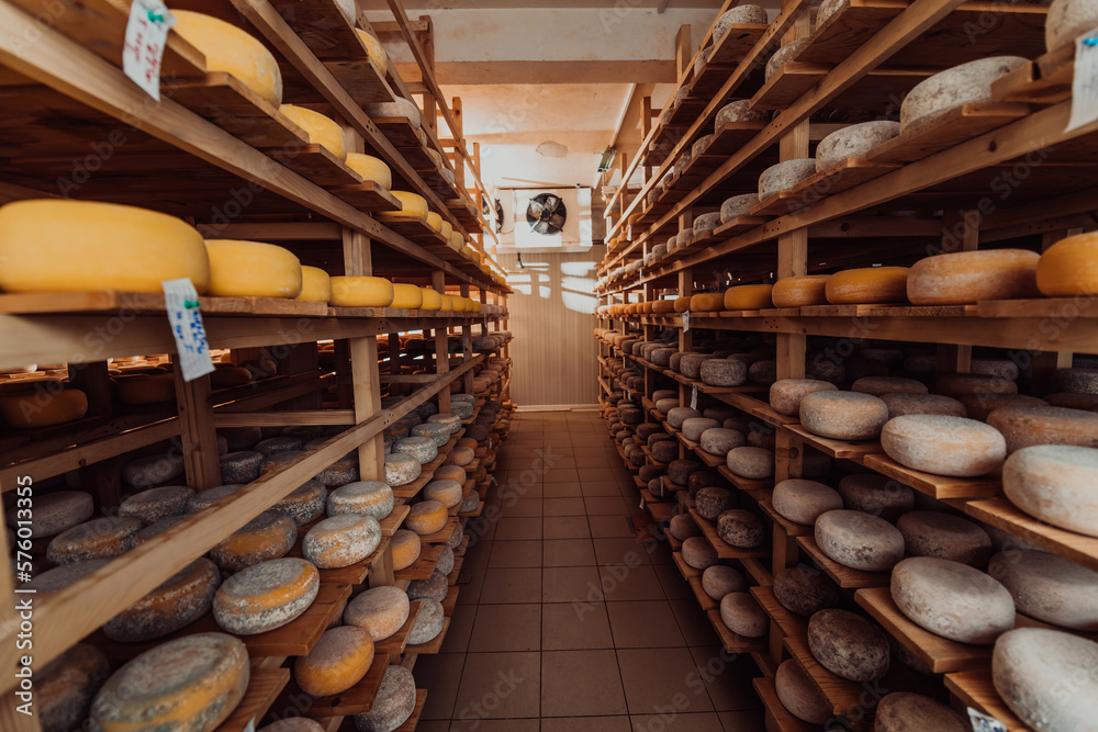 A large storehouse of manufactured cheese standing on the shelves ready ...