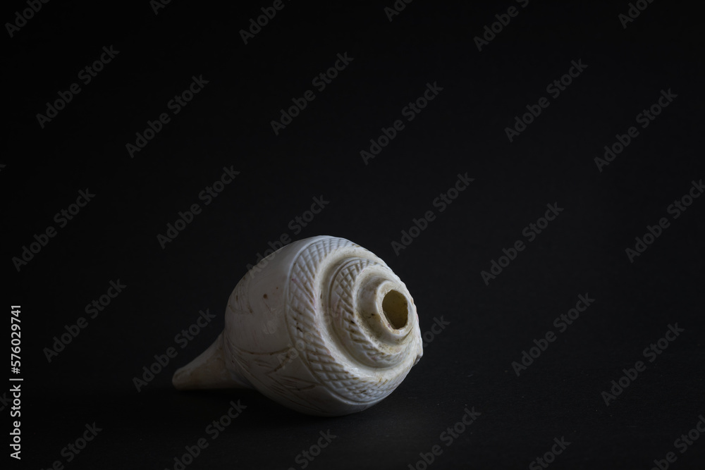 conch shell as pooja essentials for rituals during hindu religious ...