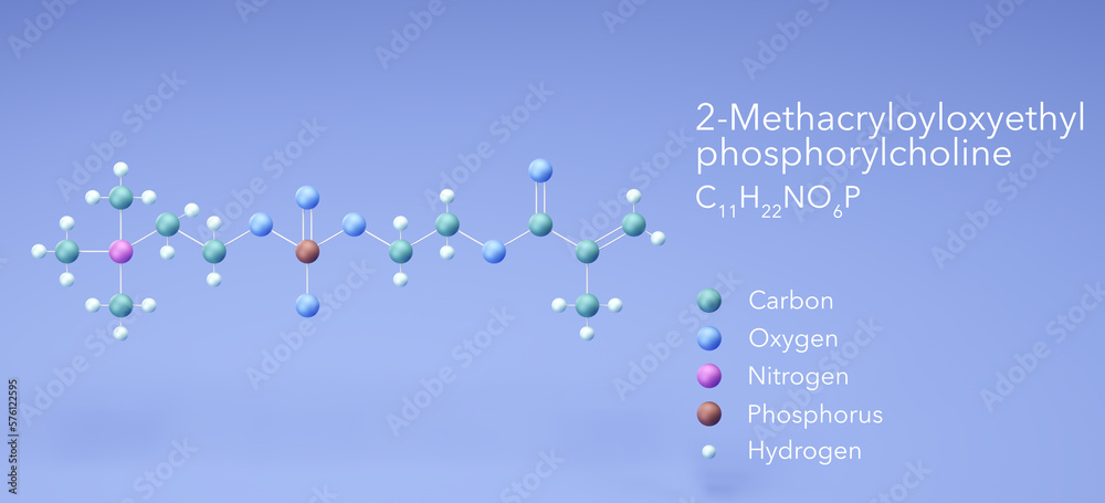 2-methacryloyloxyethyl phosphorylcholine molecule, molecular structures ...