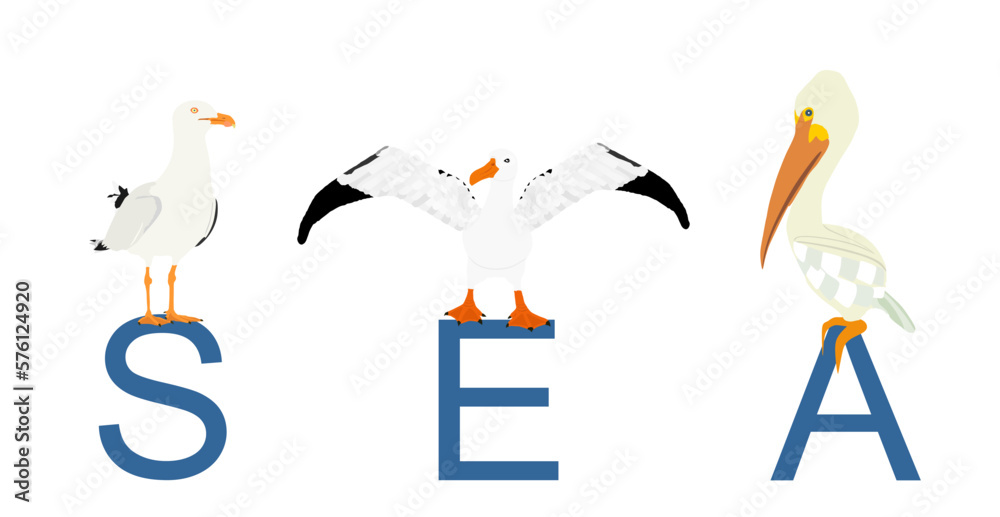 Sea birds vector illustration isolated on white background. Fish hunter ...