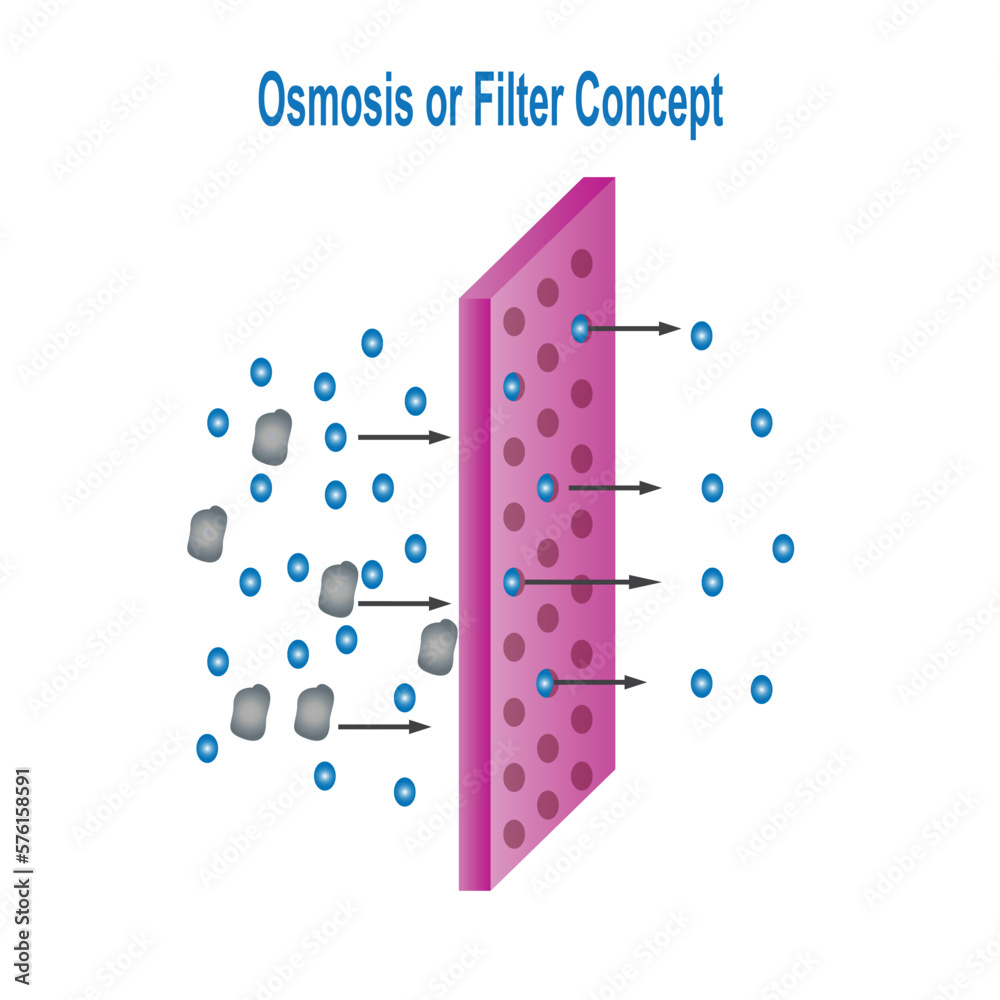 Osmosis or filter concept on white background. Small particles go ...