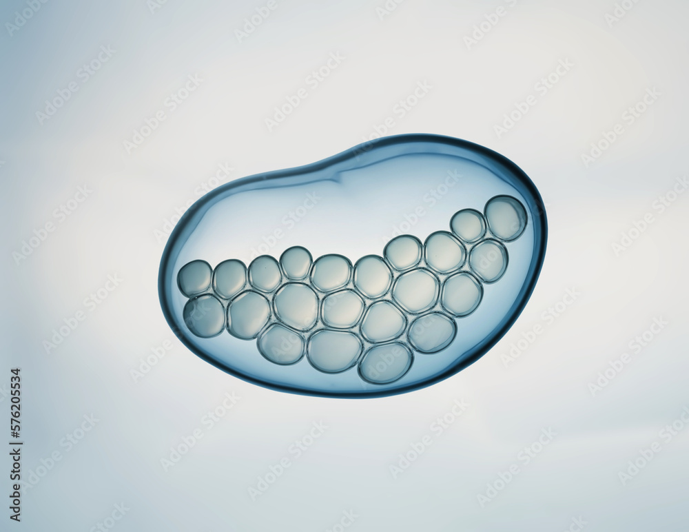 Cells division process, Cell divides into two cells Stock Photo | Adobe ...