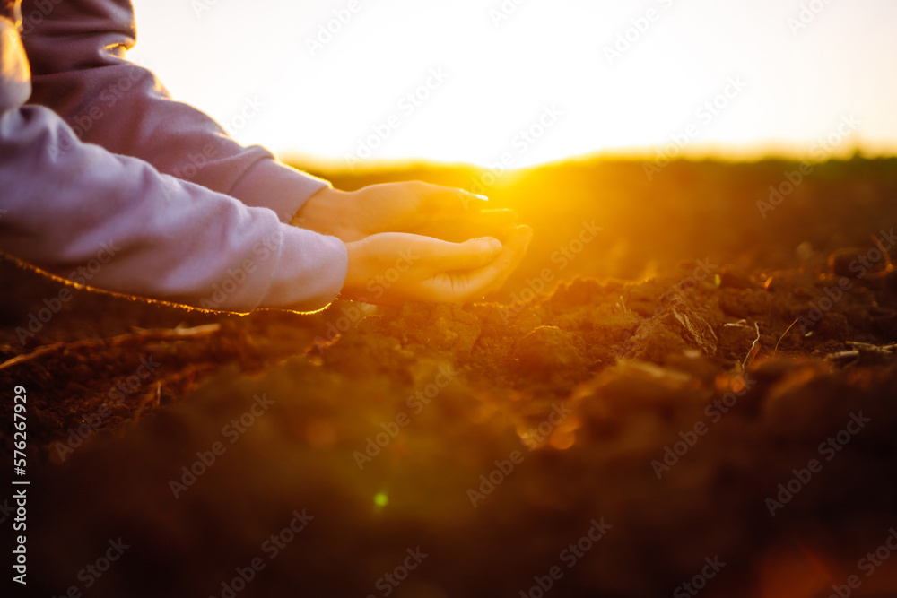 Hands touching soil on the field and checking soil health before growth ...
