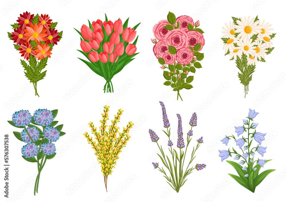 Blooming flowers set, plants with stems and leaves. Decorative floral ...