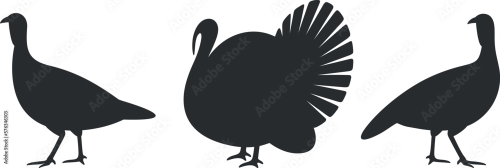 Turkey silhouette. Isolated turkey on white background. Bird Stock ...
