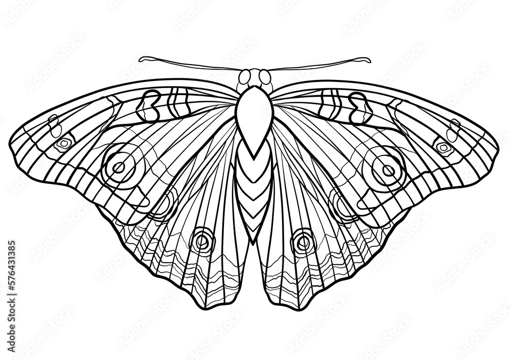 butterfly outline illustration on transparent background. Colorong book ...