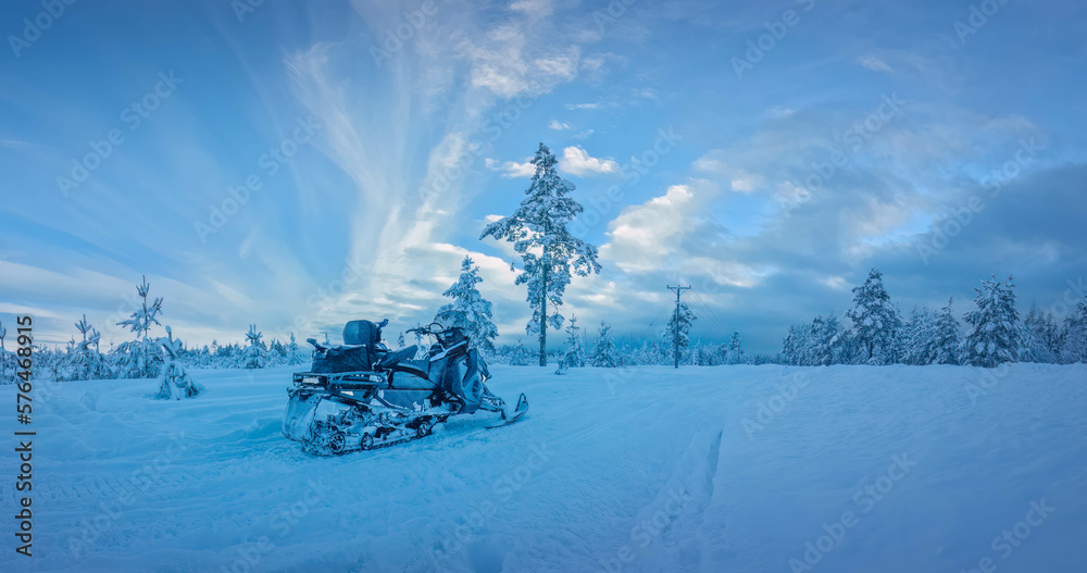 Scenic very frozen snowy young pine tree forest under winter skies ...