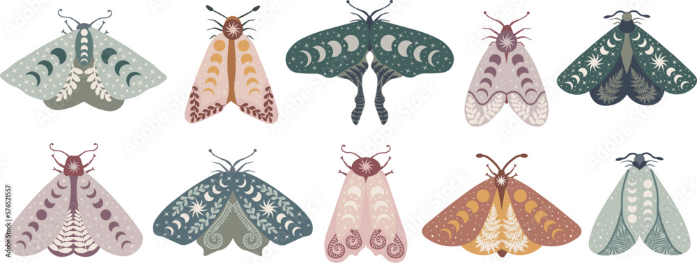Mystical luna moth vector illustration set. Celestial butterfly with ...