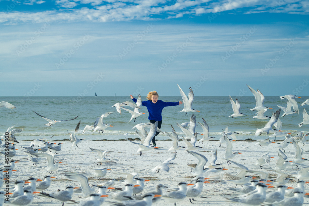 Carefree child. Child and seagull on the beach. Amazed boy running on ...