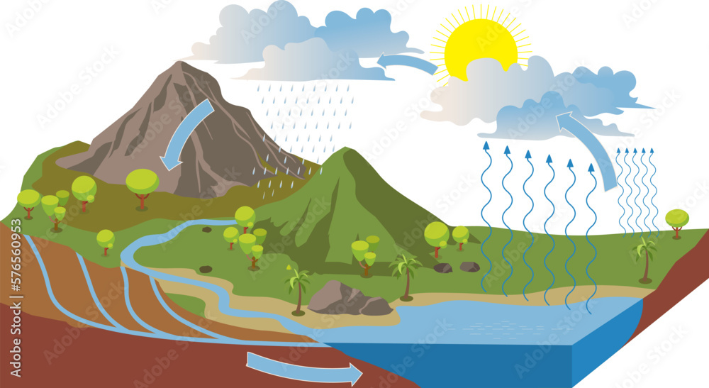 the water cycle illustration infographic Stock Vector | Adobe Stock