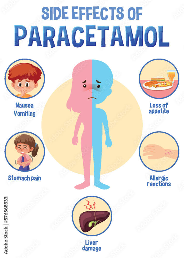 Human anatomy diagram cartoon style of paracetamol side effects vector ...