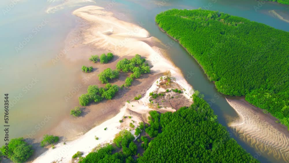 Drone footage showcases the stunning of a beach forests, with some ...