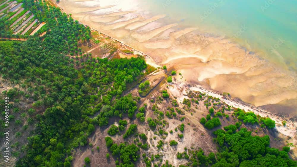 Beach forests appear as a green belt along the sandy shore. Mangrove ...