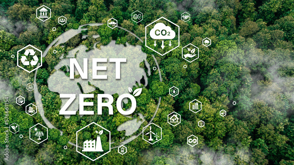 Fotografia do Stock: Net zero icons on the top view of the forest for ...