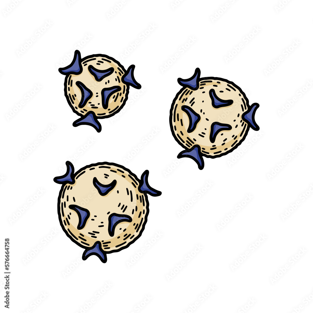 T-helper cells isolated on white background. Hand drawn scientific ...