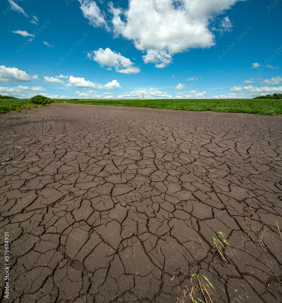 land dries up after flood due to heavy rainfall, green soybean field ...