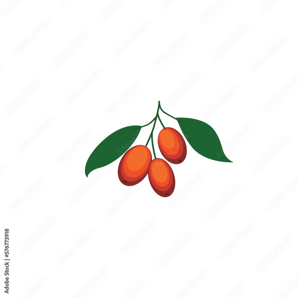 Jujube. Ziziphus jujuba or red date, medicinal plant. Fruit and leaves ...
