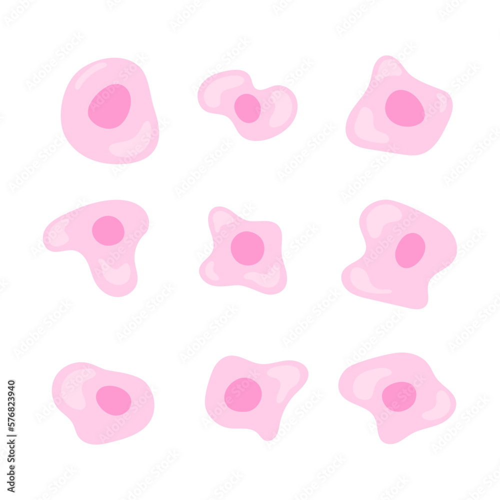 Human stem cell icon set. Nucleus and membrane tissue under microscope ...