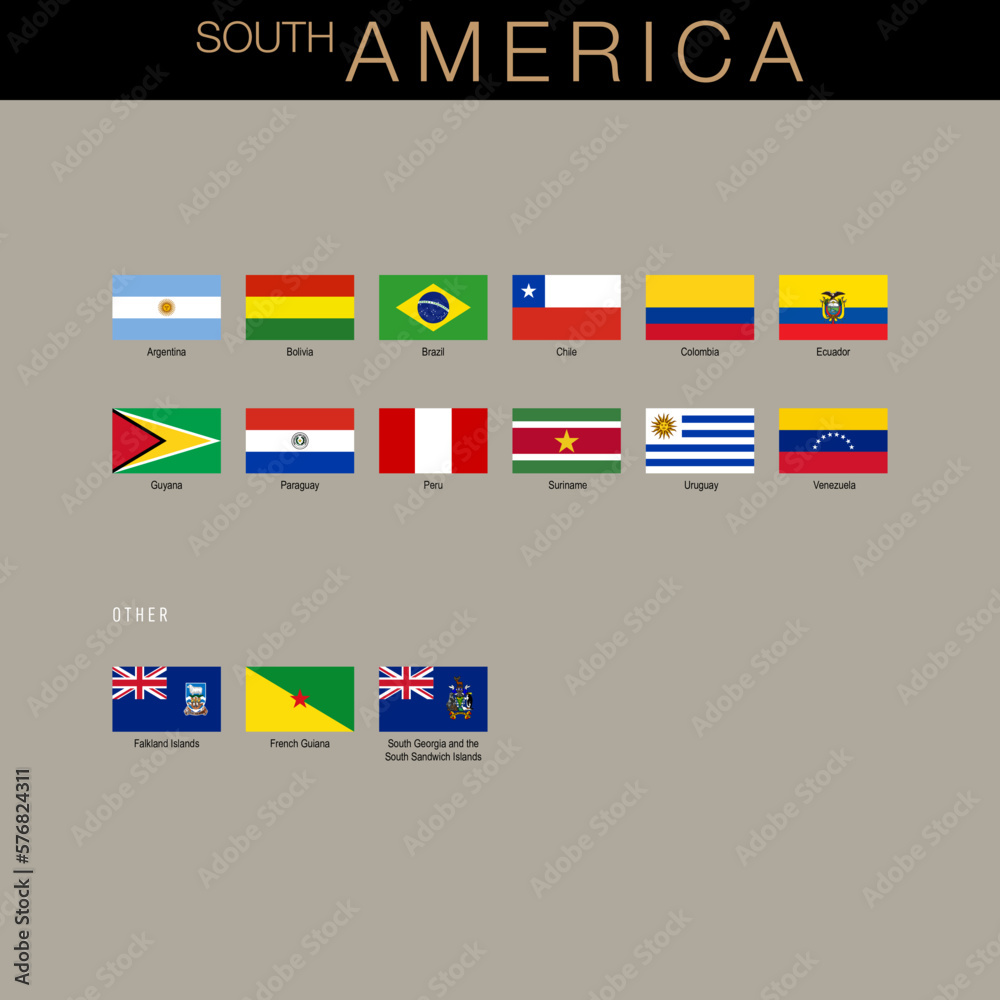 SOUTH AMERICA set of official national flags of the world and other ...