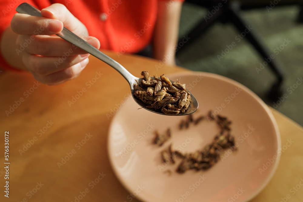 Spoonful of cooked insects - a sustainable, protein-rich food source ...