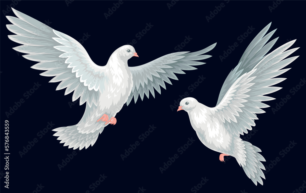 Beautiful white doves. Poster with two birds symbolizing peace and ...