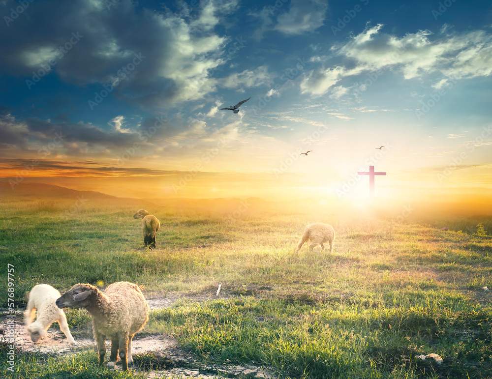 Christ Jesus concept, Flock of sheep on cross and sunset background ...