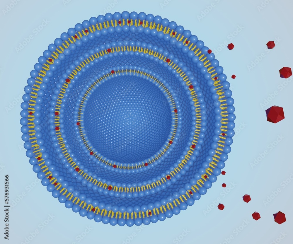 Isolated multi lamellar vesicle with scattered hydrophobic nanodrugs ...