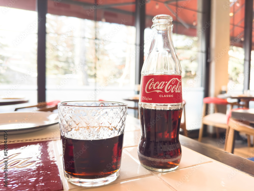 Yerevan, Armenia, February 28, 2023: Photo of can of Coca-Cola Classic ...