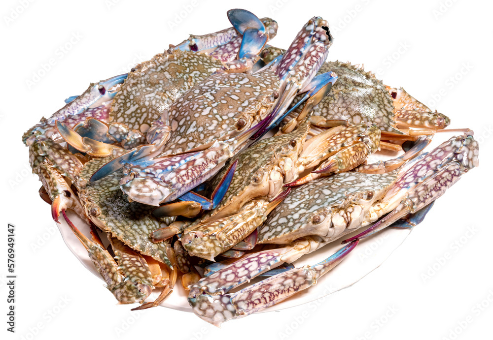 Fresh seafood blue crab on white background ready to cook. blue crab ...