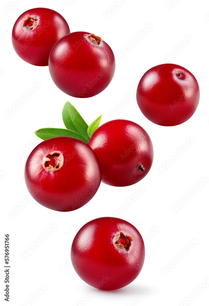 Cranberry isolated. Cranberries flying on white background. Cranberry ...