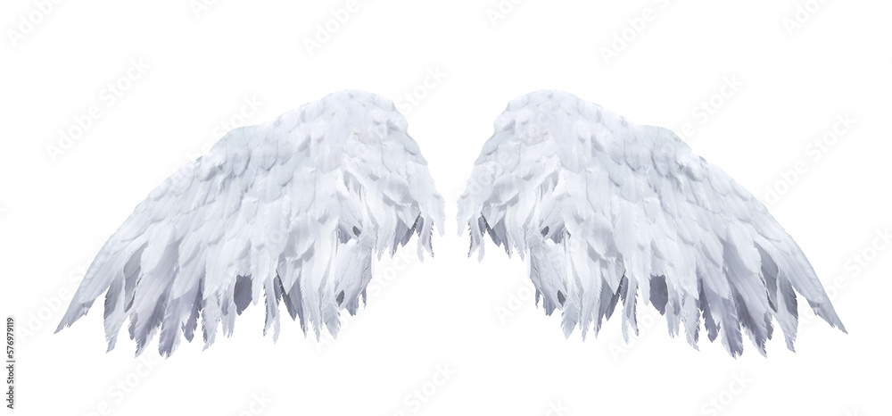 wings on transparent background png Stock Photo | Adobe Stock
