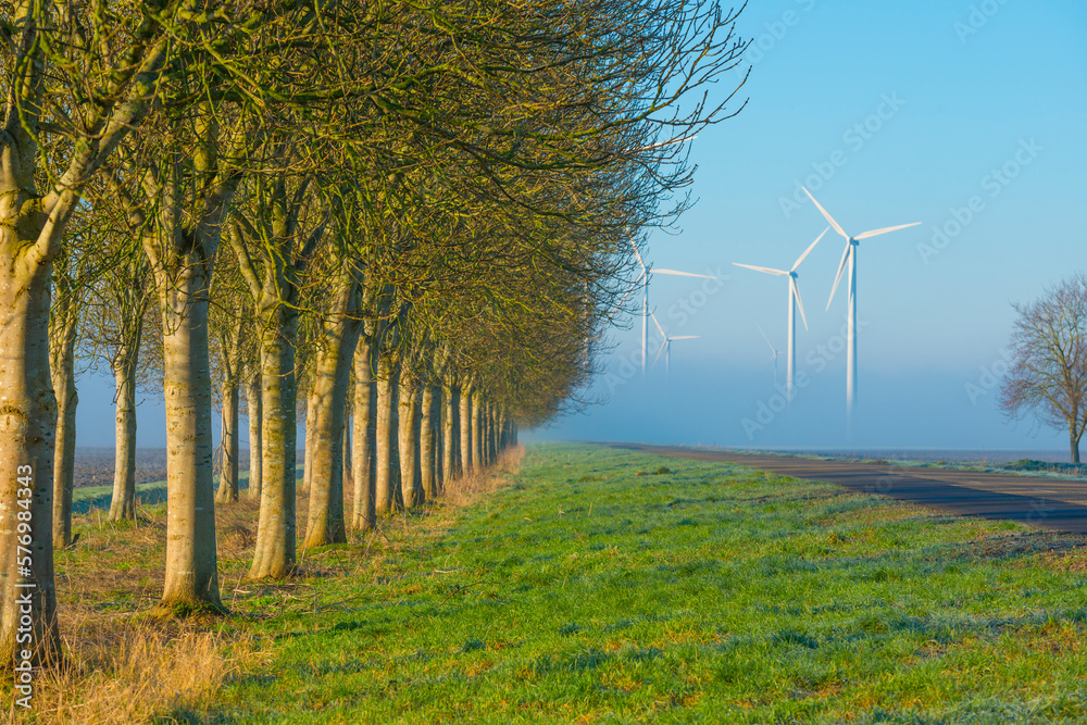 Trees and wind turbines along the verge of a road in bright sunlight at ...