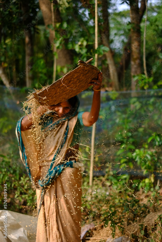 Village woman separating chaff from grain by winnowing process. South ...