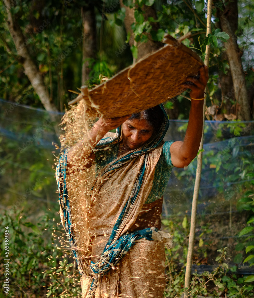 Poster Village woman separating chaff from grain by winnowing process ...