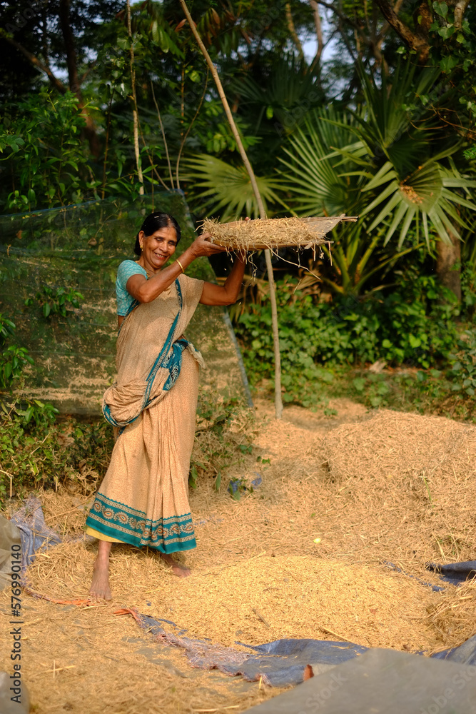 Village woman separating chaff from grain by winnowing process. South ...