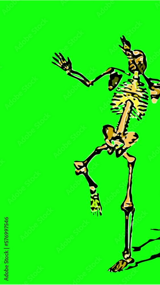 2d vertical video animation in comic style of skeleton exercise karate ...
