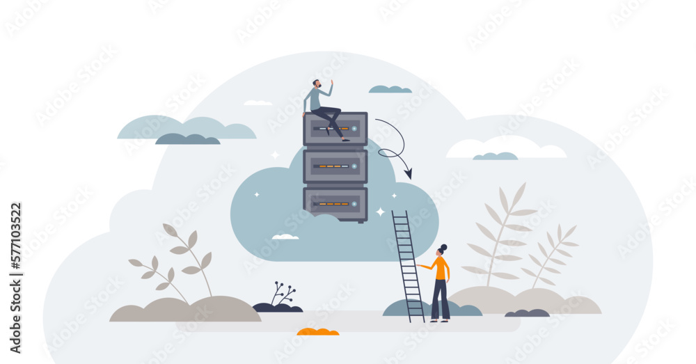 Cloud server with database upload for information storage tiny person ...