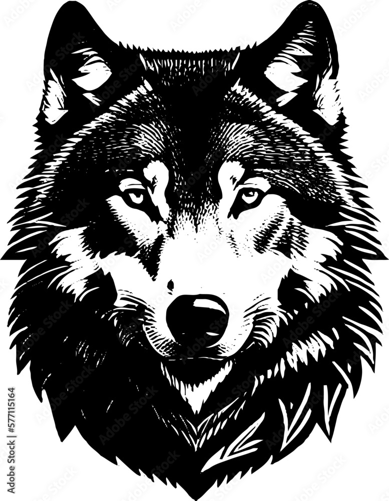 Wolf, vector. Stock Vector | Adobe Stock