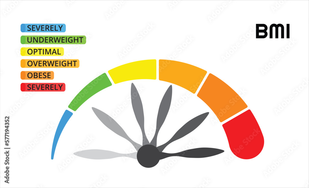 BMI categories chart, body mass index and scale mass people. Severely ...