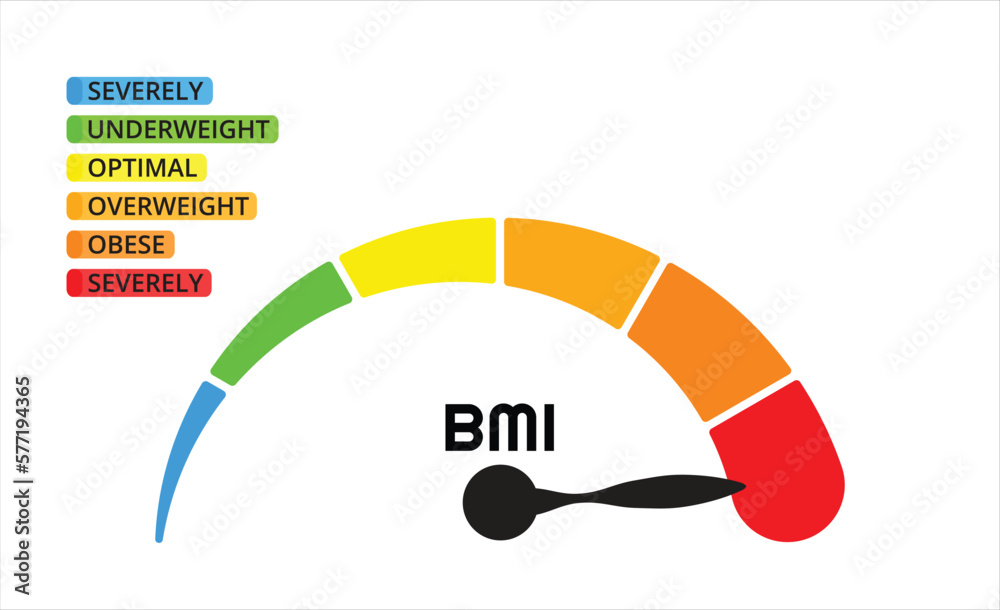 Vetor de BMI categories chart, body mass index and scale mass people ...