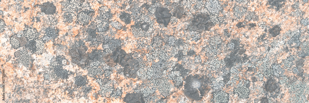 Natural texture of a stone covered with lichen. Lichenes patterns on a ...