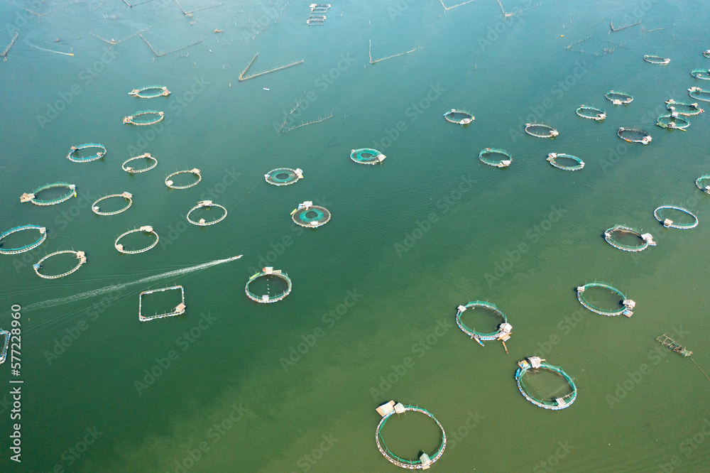 Fish ponds for bangus, milkfish. Farming aquaculture or pisciculture ...