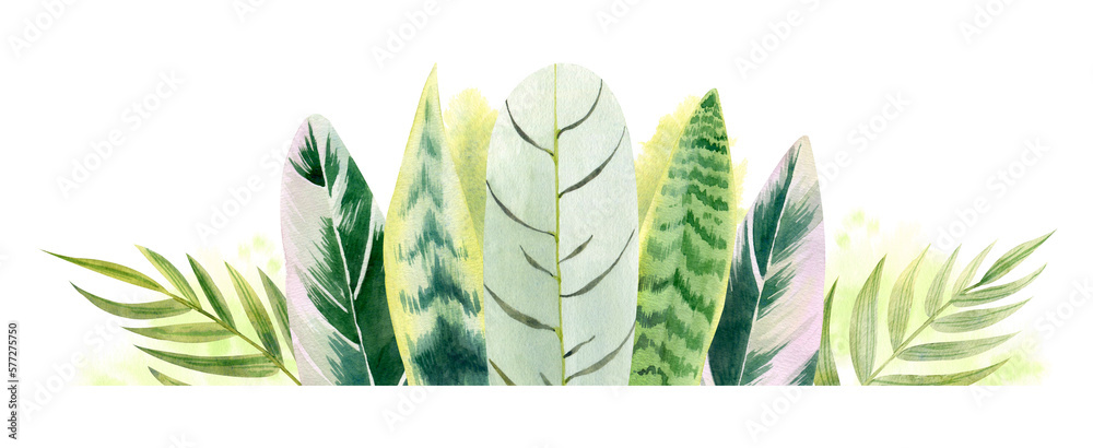 Floral border element with colorful houseplant leaves. Plant and leaves ...