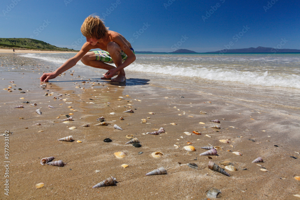 Boy Picking Seashells On The East Coast Beaches Of Great Oyster Bay ...