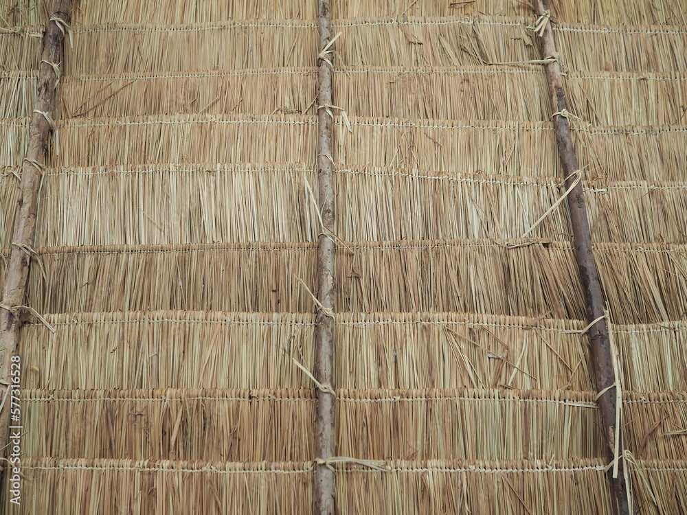An intimate view of the traditional thatched roofs in a rural village ...