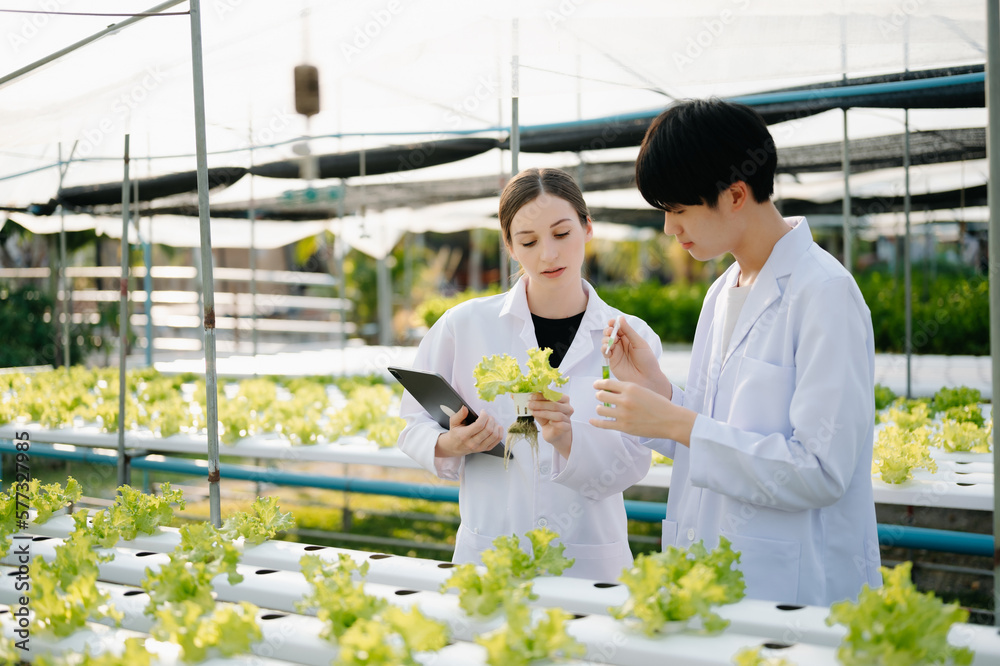 Researcher team in white uniform are checking with ph strips in ...