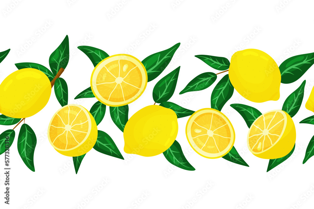 Horizontal Seamless border of lemons branch on white background. Vector ...